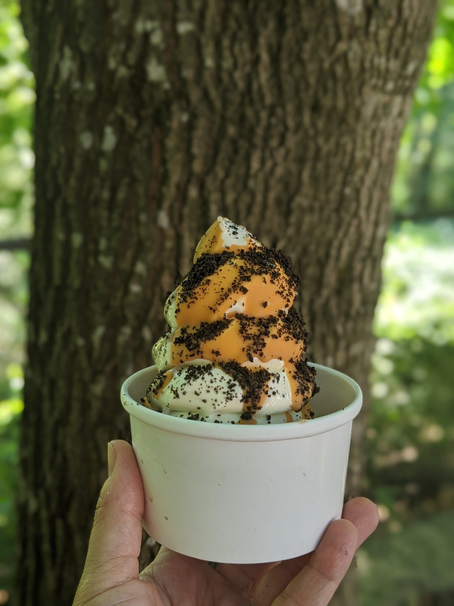 Portland Kid-Friendly Travel Guide - Cosette's Kitchen